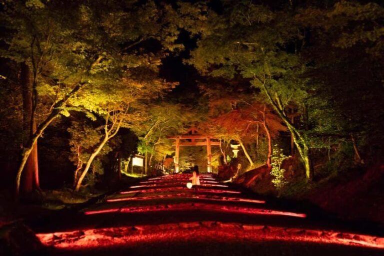 Night Gagaku Concert at Hiyoshi Taisha Shrine - Who Will Love This Experience?