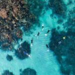 Ningaloo: Snorkelling & Coral Viewing Semi Submersible Tour - What Makes This Tour Stand Out?