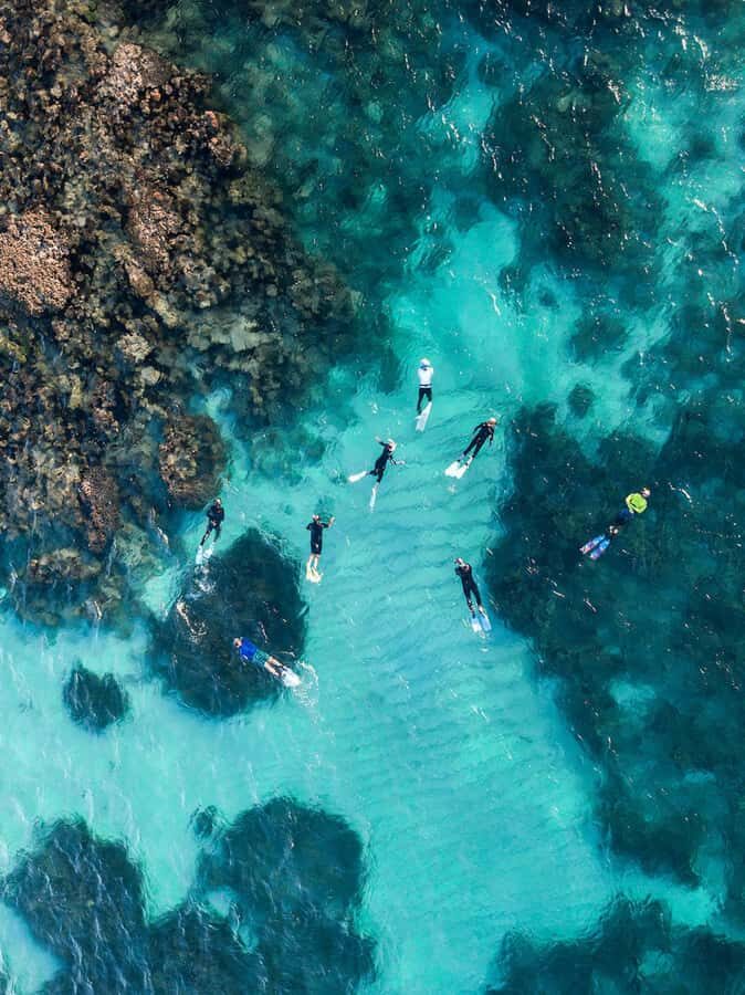 Ningaloo: Snorkelling & Coral Viewing Semi Submersible Tour - What Makes This Tour Stand Out?