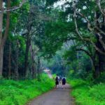Ninh Binh: 2Day Trang An, Bai Dinh, Cuc Phuong National Park - Day 1: From Spiritual Grandeur to UNESCO Landscape