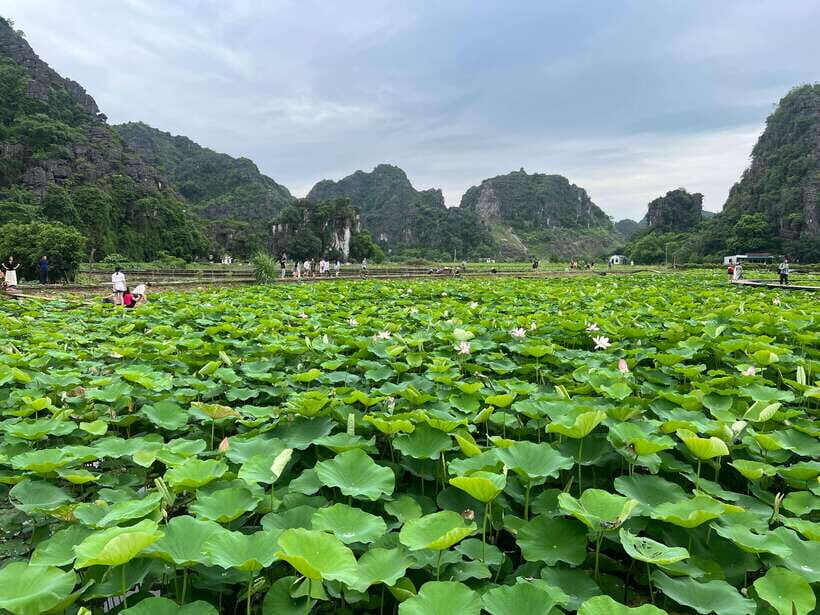 Ninh Binh Hoa Lu, Tam Coc Boat Ride, Mua Cave Hiking Tour - Exploring Hoa Lu — Vietnam’s First Capital