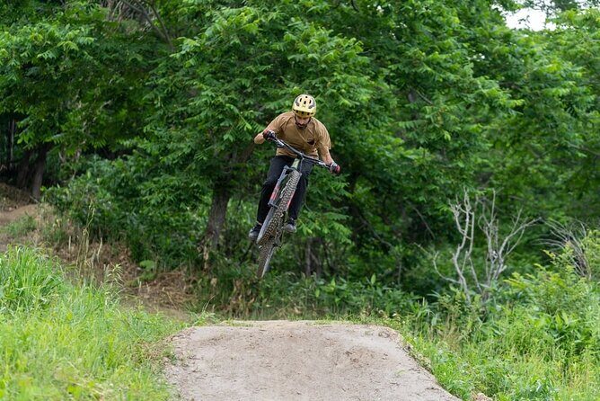 Niseko Mountain Biking Tour - The Itinerary in Detail