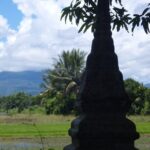 "No.1 Chiang Mai: Half Day Rice Field Vision Mountain Biking " - What’s Included and How It Adds Value