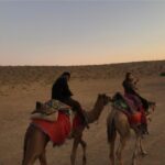 Nomadic 2 Nights 3 Days Non Touristic Camel & Desert Safari - Day 1: Arrival at the Dunes & First Camel Ride