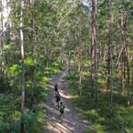 Noosa Biosphere Trails  Guided eMountain Bike Tour - Exploring Culturally Rich Towns