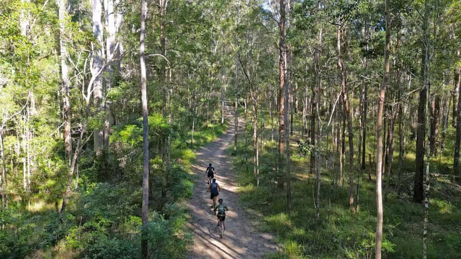 Noosa Biosphere Trails  Guided eMountain Bike Tour - Exploring Culturally Rich Towns