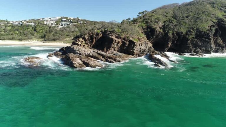 Noosa: Noosa Ocean Adventure with Dolphin Watching - Reviews: Real Travelers, Real Impressions