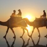 North of Rocks on Cable Beach: 1-Hour Sunset Camel Ride - Scenic Highlights and the Sunset