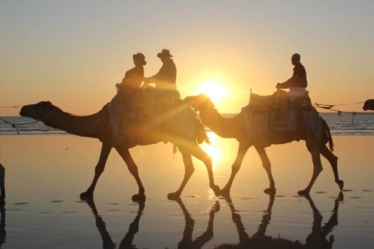 North of Rocks on Cable Beach: 1-Hour Sunset Camel Ride - Scenic Highlights and the Sunset