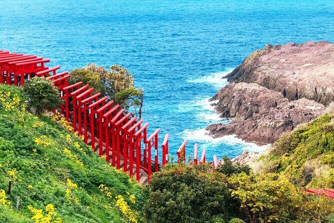 Northern Kyushu Day Tour Akiyoshido Cave and Motonosumi Inari - Practical Details and Why They Matter