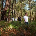 Northern Sydney Beaches and Beyond - What’s Included and What’s Not?