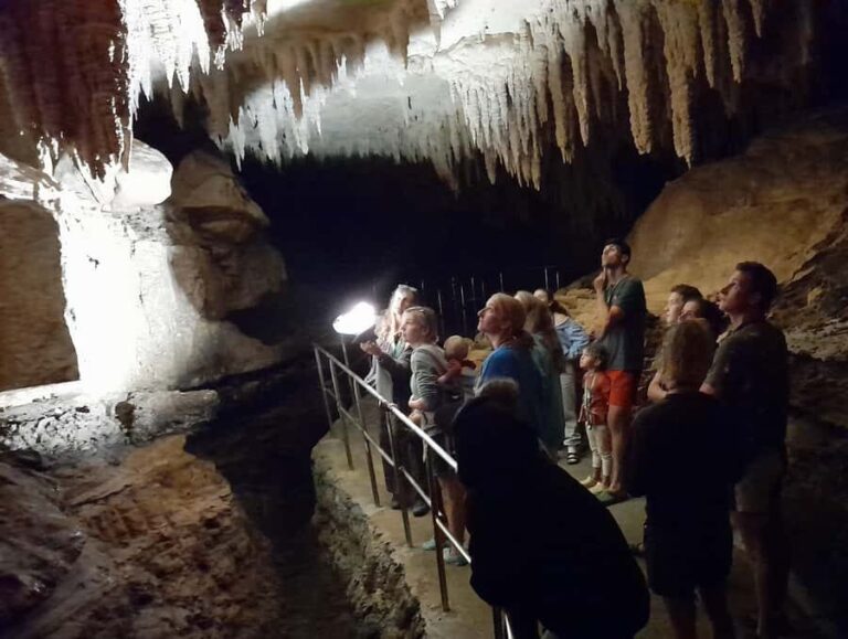 Northland Hidden Gems: Glowworm Cave, Beach & Art Café - What Makes This Tour Stand Out?