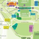 Novotel Citygate Hong Kong Package with Disneyland and Ngong Ping Cable Car Tour - Day 2: Lantau Island, Po Lin Monastery, and the Big Buddha