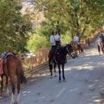 Nuratau Village Home Stay and Hiking tours from Bukhara - The Guided Hiking Experience