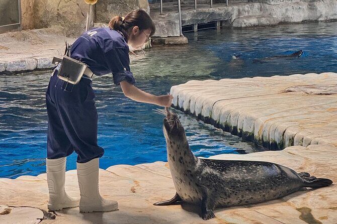 Ocean Park Full-Day Coach Tour with Hotel Pickup in Kowloon Area from Hong Kong - Who Should Consider This Tour?