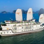 (Official) Signature Halong Cruise - 03 days 02 nights program - The Sum Up: Why This Cruise is a Smart Choice