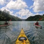 Okinawa: Kayak Mangroves & Ocean Native-English Private Tour - What to Expect on the Day