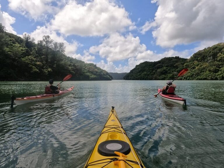 Okinawa: Kayak Mangroves & Ocean Native-English Private Tour - What to Expect on the Day