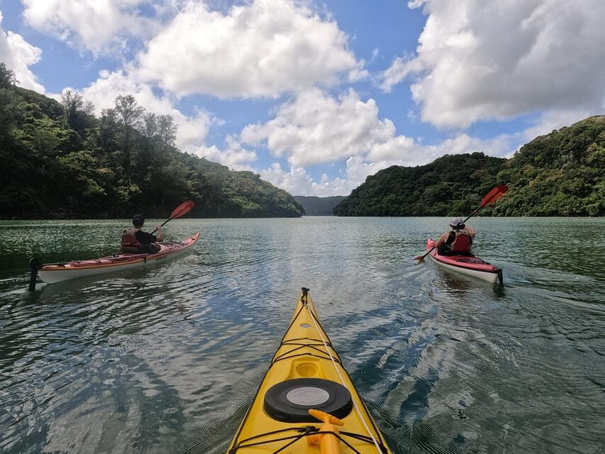 Okinawa: Kayak Mangroves & Ocean Native-English Private Tour - What to Expect on the Day
