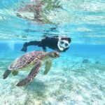 Okinawa Miyako Beach SUP or Canoe and sea turtle Snorkeling - The Itinerary: What to Expect on Your Ocean Day