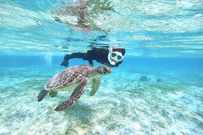 Okinawa Miyako Beach SUP or Canoe and sea turtle Snorkeling - The Itinerary: What to Expect on Your Ocean Day