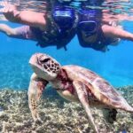 Okinawa Miyakojima 1 day Sea Turtle Snorkeling & Pumpkin Cave & Sea Kayak - What to Expect at Each Station