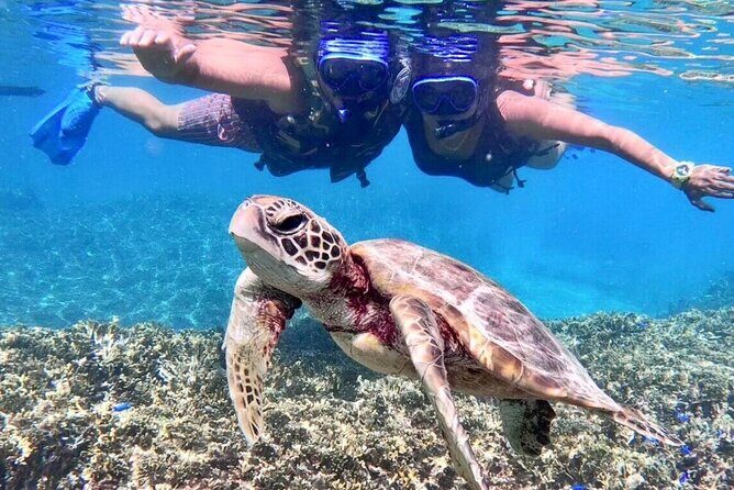 Okinawa Miyakojima 1 day Sea Turtle Snorkeling & Pumpkin Cave & Sea Kayak - What to Expect at Each Station