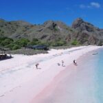 One Day Komodo Tour & Snorkeling by Speedboat - The Itinerary: Whats in Store