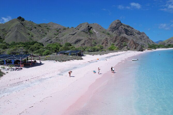 One Day Komodo Tour & Snorkeling by Speedboat - The Itinerary: Whats in Store