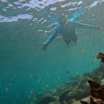One on One Snorkel Experience - Practical Details and Tips