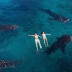 Oslob Whale Shark Snorkeling & Tumalog Falls with Osmeña Peak - What’s Included and What’s Not