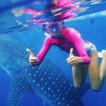 Oslob Whale Shark Swimming and Kawasan Falls Canyoneering - Value and Practical Considerations