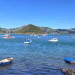 Otago Harbour by Bike: A Self Guided Tour - Who Will Love This Tour?