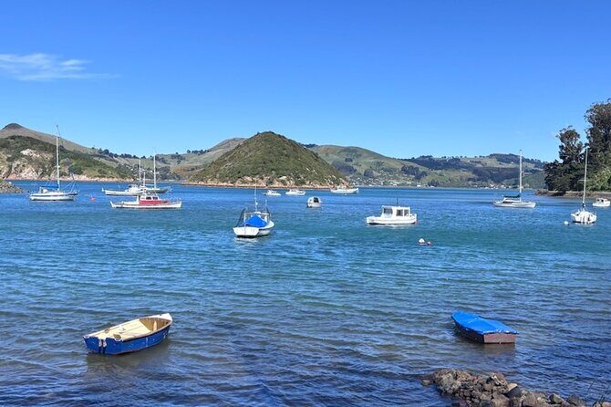 Otago Harbour by Bike: A Self Guided Tour - Who Will Love This Tour?