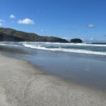 Otago Peninsula's Hidden Gems: A Self Guided Driving Tour - The Practical Side: What You Need to Know