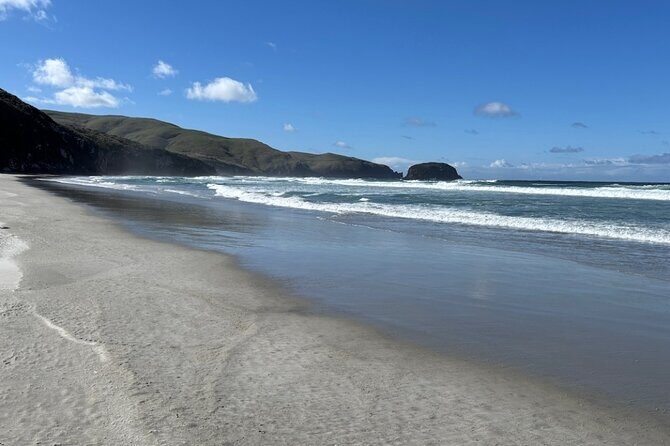 Otago Peninsula's Hidden Gems: A Self Guided Driving Tour - The Practical Side: What You Need to Know