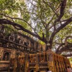 OVERNIGHT BODHGAYA TOUR WITH DUNGESHWARI CAVE - Why This Tour Offers Great Value