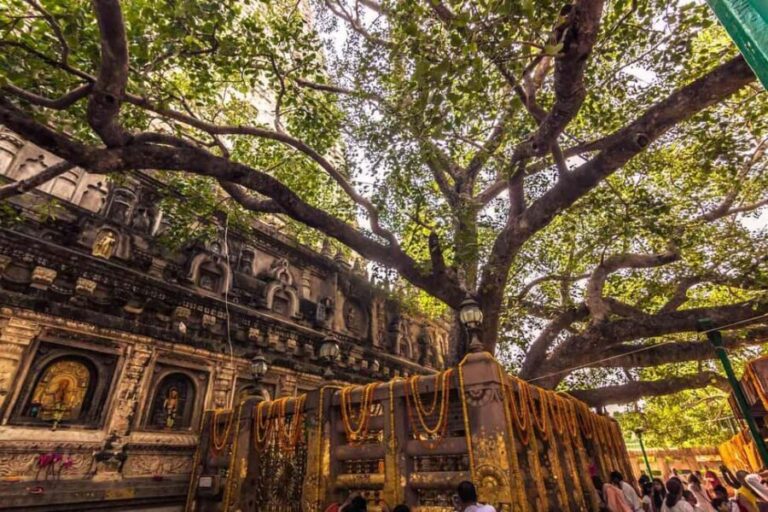OVERNIGHT BODHGAYA TOUR WITH DUNGESHWARI CAVE - Why This Tour Offers Great Value