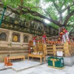 Patna: Bodhgaya Fully Private Car One Day Tour - Practical Details and Value