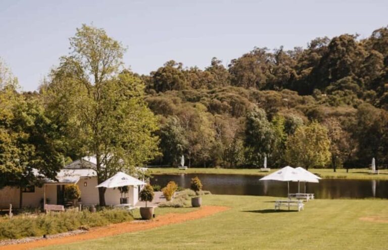 Pemberton: Ampersand Estates Wine Tasting Experience - The Setting and Atmosphere