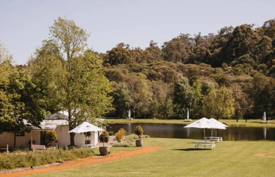 Pemberton: Ampersand Estates Wine Tasting Experience - The Setting and Atmosphere