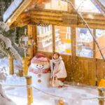 Penguin Fun & Snowmobile : Sapporo Winter (Asahiyama Zoo) - Final Thoughts