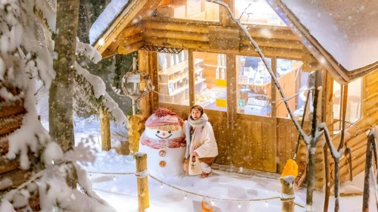 Penguin Fun & Snowmobile : Sapporo Winter (Asahiyama Zoo) - Final Thoughts