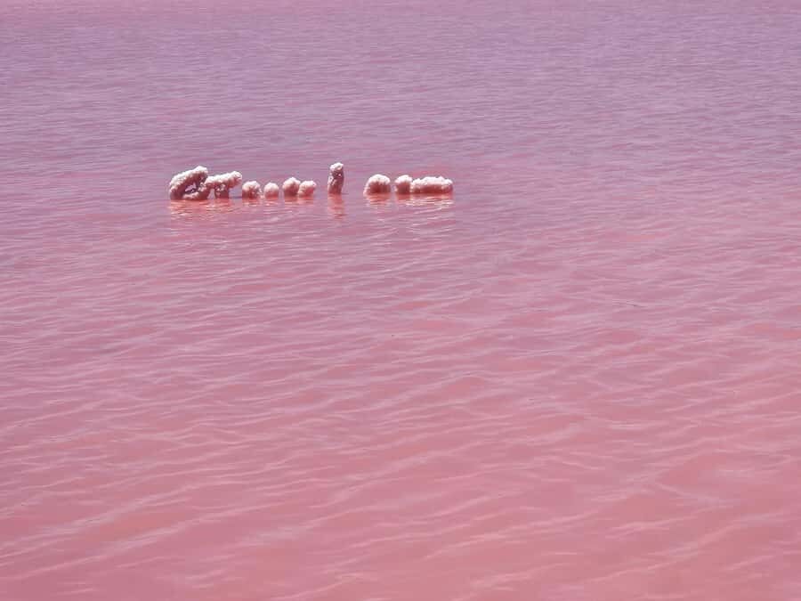 Perth: 2-Day Pink Lake, Kalbarri, and Pinnacles Tour - What Makes This Tour Stand Out