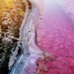 Perth: 4-Day Monkey Mia Pink Lake Coastal Loop Comfort Tour - What Sets This Tour Apart