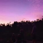 Perth: Darling Range Twilight Wander - What’s Included and What to Bring