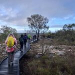 Perth: Numbat Trail Hike at Paruna Wildlife Sanctuary - What To Expect: A Closer Look at the Trail