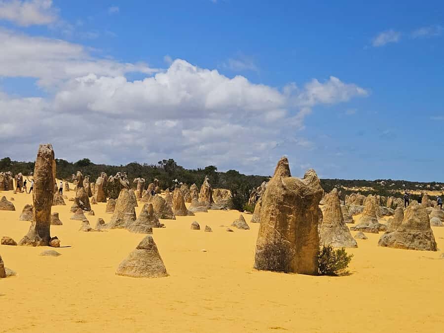 Perth: Pinnacles Desert & Sand Dunes Private Day Tour - What Makes This Tour Special?