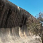 Perth: Wave Rock, Mulka's Cave, and York (Full Day Tour) - What Travelers Say