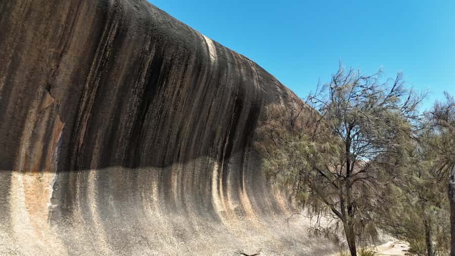 Perth: Wave Rock, Mulka's Cave, and York (Full Day Tour) - What Travelers Say